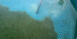How to remove copper stains from pool » Remove Any Stains