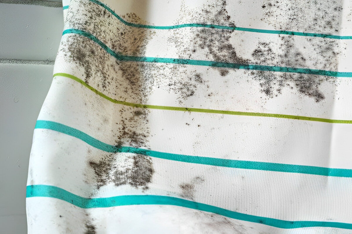 How to remove mildew stains » Remove Any Stains